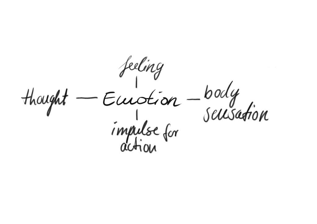 Emotions - an introduction to the why and how - dis-sos