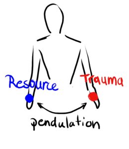 Pendulation in Trauma Therapy - gentle help for cPTSD - dis-sos