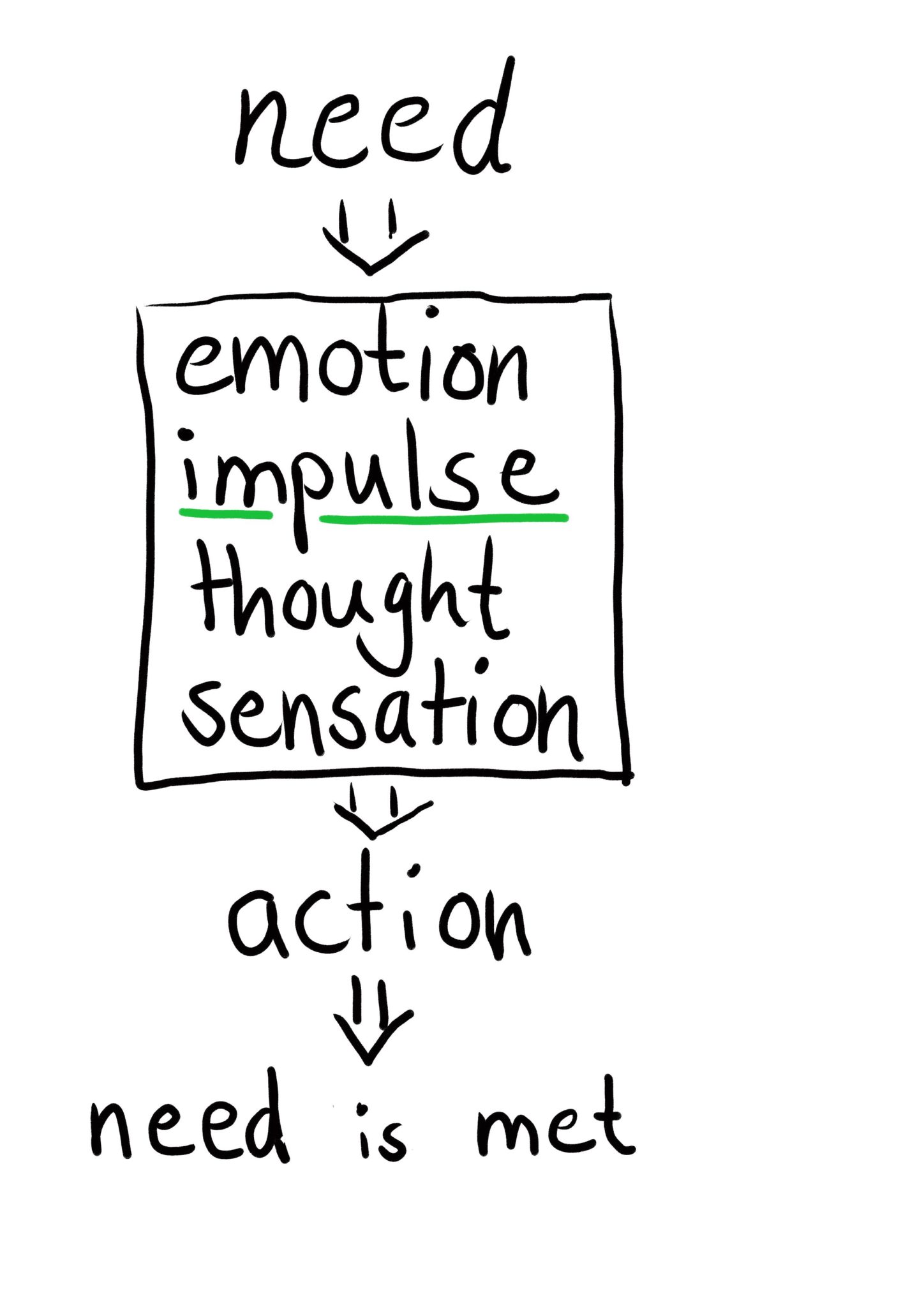 Impulse and Control - learning to trust ourselves - dis-sos